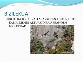 Arranoa iraitz-adur | PPT