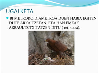 Arranoa iraitz-adur | PPT
