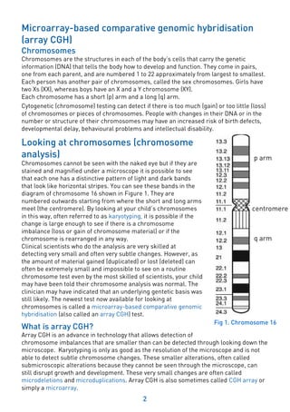 Array cgh ftnw | PDF