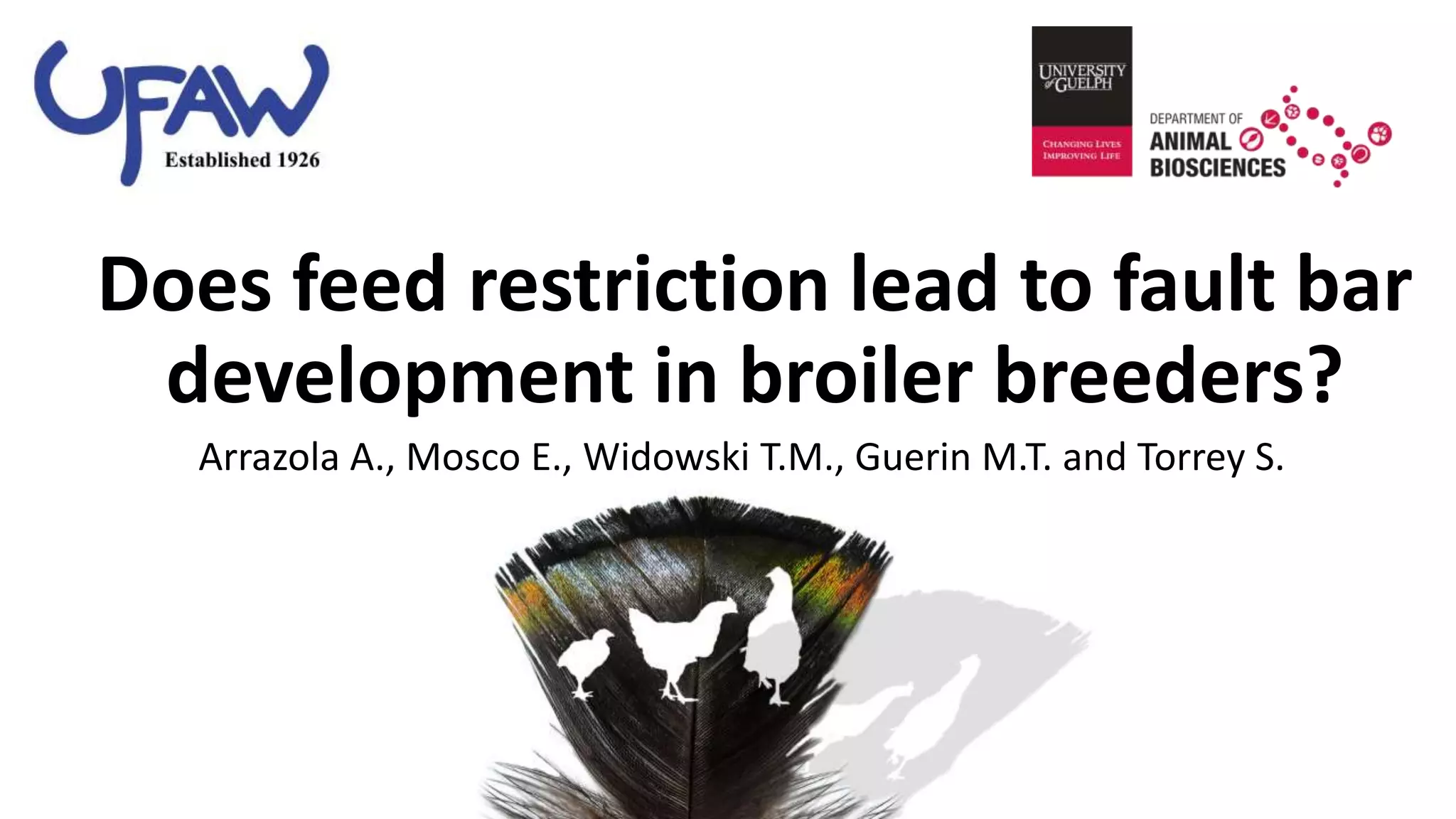The development of fault bars in feed restrcited broiler breeders ...