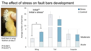 The development of fault bars in feed restrcited broiler breeders ...