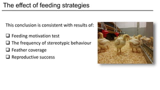 The development of fault bars in feed restrcited broiler breeders ...