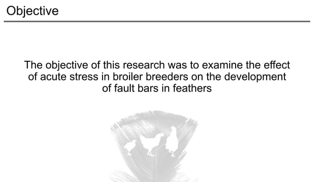 The development of fault bars in feed restrcited broiler breeders ...