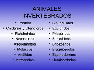 Arrecifes, flora y fauna | PPT
