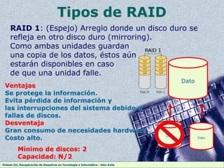 Arreglo De Discos Raid | PDF