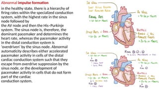 arrhythemia lecture for fifth stage student | PPT | Free Download