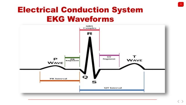Management of cardiac arrhythmias | PPTX | Heart and Cardiovascular ...
