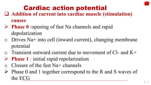 Management of cardiac arrhythmias | PPTX | Heart and Cardiovascular ...