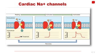 Management of cardiac arrhythmias | PPTX