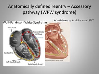 Antiarrhythmic drugs - drdhriti | PPTX