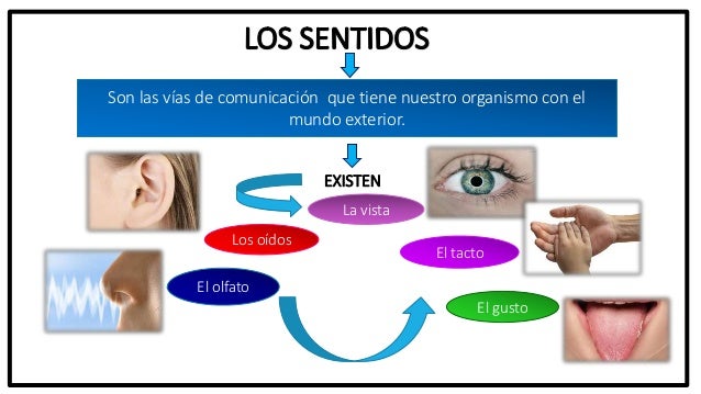 Los Sentidos