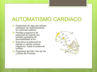 Arritmias cardiacas | PPTX