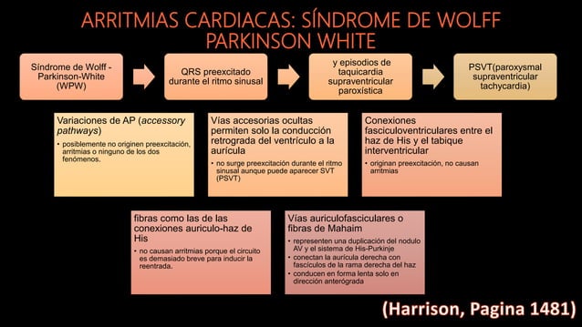 Arritmias cardiacas: Síndrome de Wolf Parkinson White /Tratamiento ...