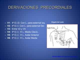 electrocardiografia basica y Arritmias | PPT