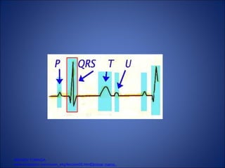 electrocardiografia basica y Arritmias | PPT