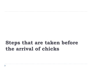 Arrival of chicks | PPTX