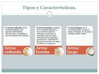 Arroz | PPTX