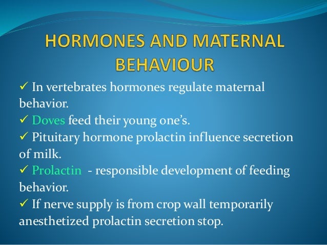 Hormones And Behaviour