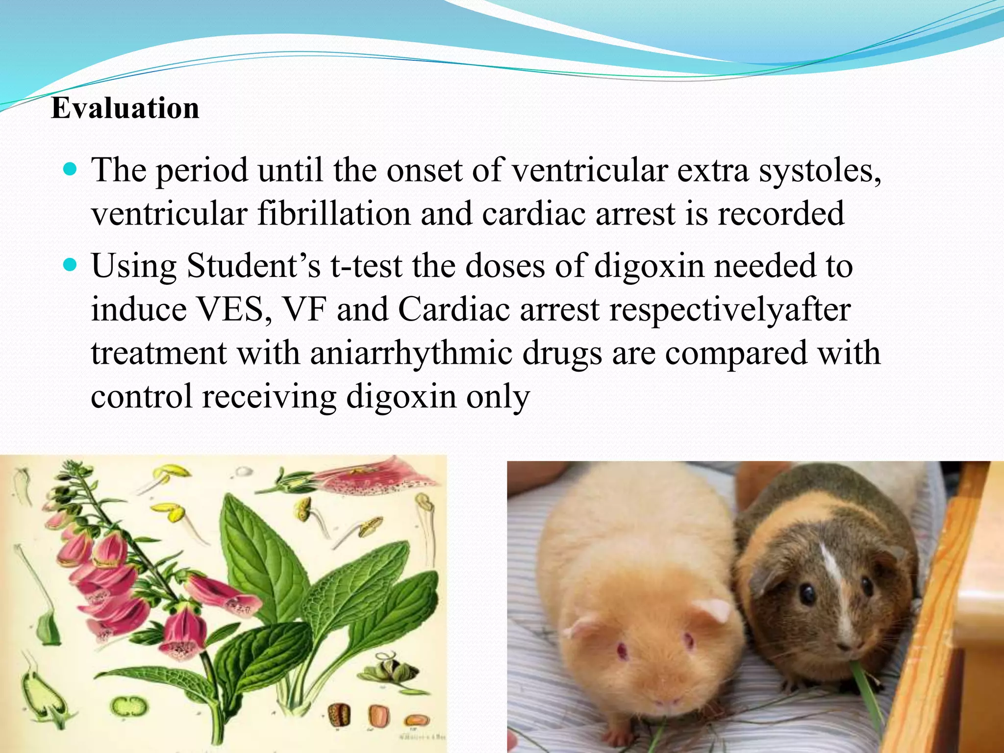 SCREENING OF DRUGS USED IN ANTIARRYTHMIA | PPTX