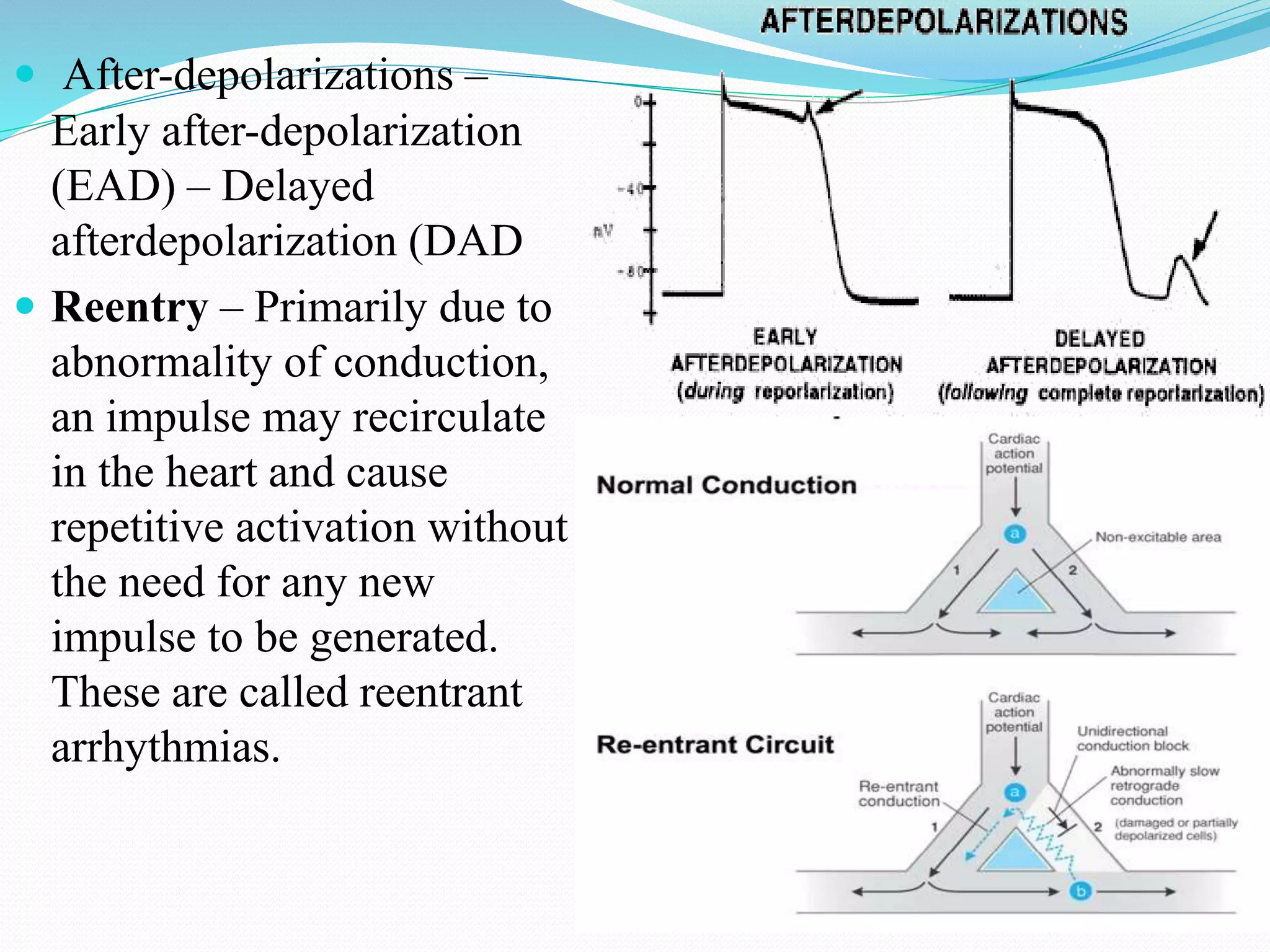 SCREENING OF DRUGS USED IN ANTIARRYTHMIA | PPTX