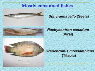 Fish Consumption Pattern | PPT