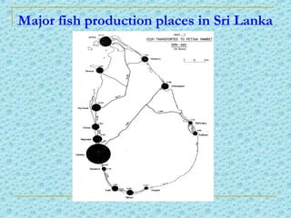 Fish Consumption Pattern | PPT