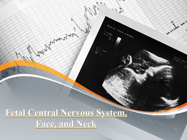 The First Trimester and Ectopic Pregnancy & Fetal Central Nervous ...