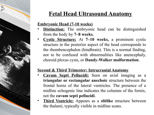 The First Trimester and Ectopic Pregnancy & Fetal Central Nervous ...