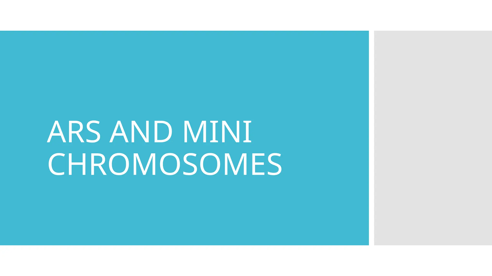 ARS AND MINI CHROMOSOMES .ppt in | PPT