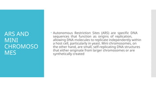 ARS AND MINI CHROMOSOMES .ppt in | PPT