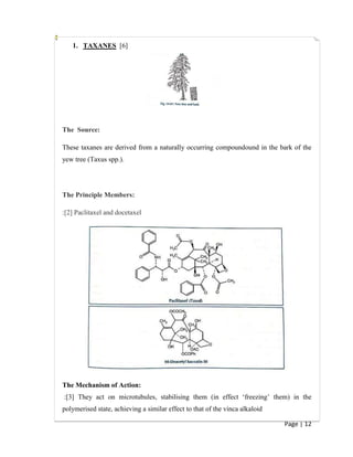 arsenal of anticancer by asif.docx
