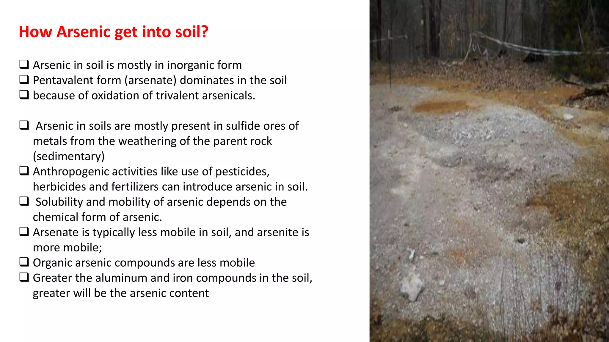 arsenic toxicity .pptx