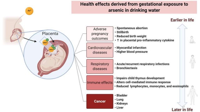 arsenic toxicity .pptx