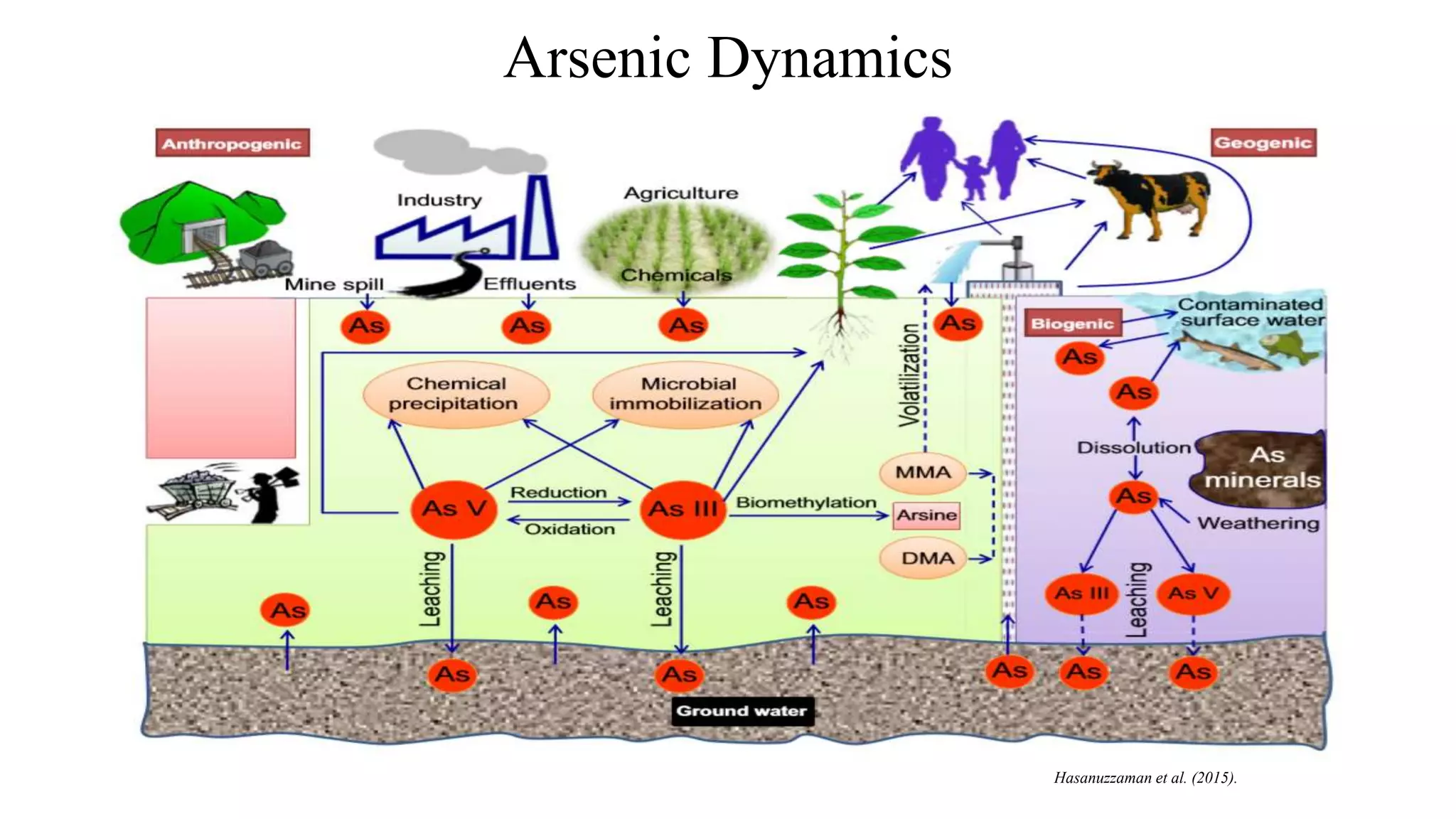 Arsenic and bangladesh | PPTX | Chemistry | Science