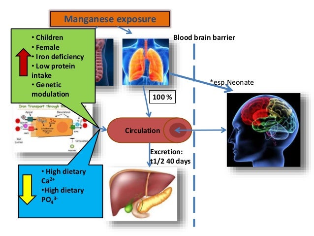 Arsenic and manganese poisoning