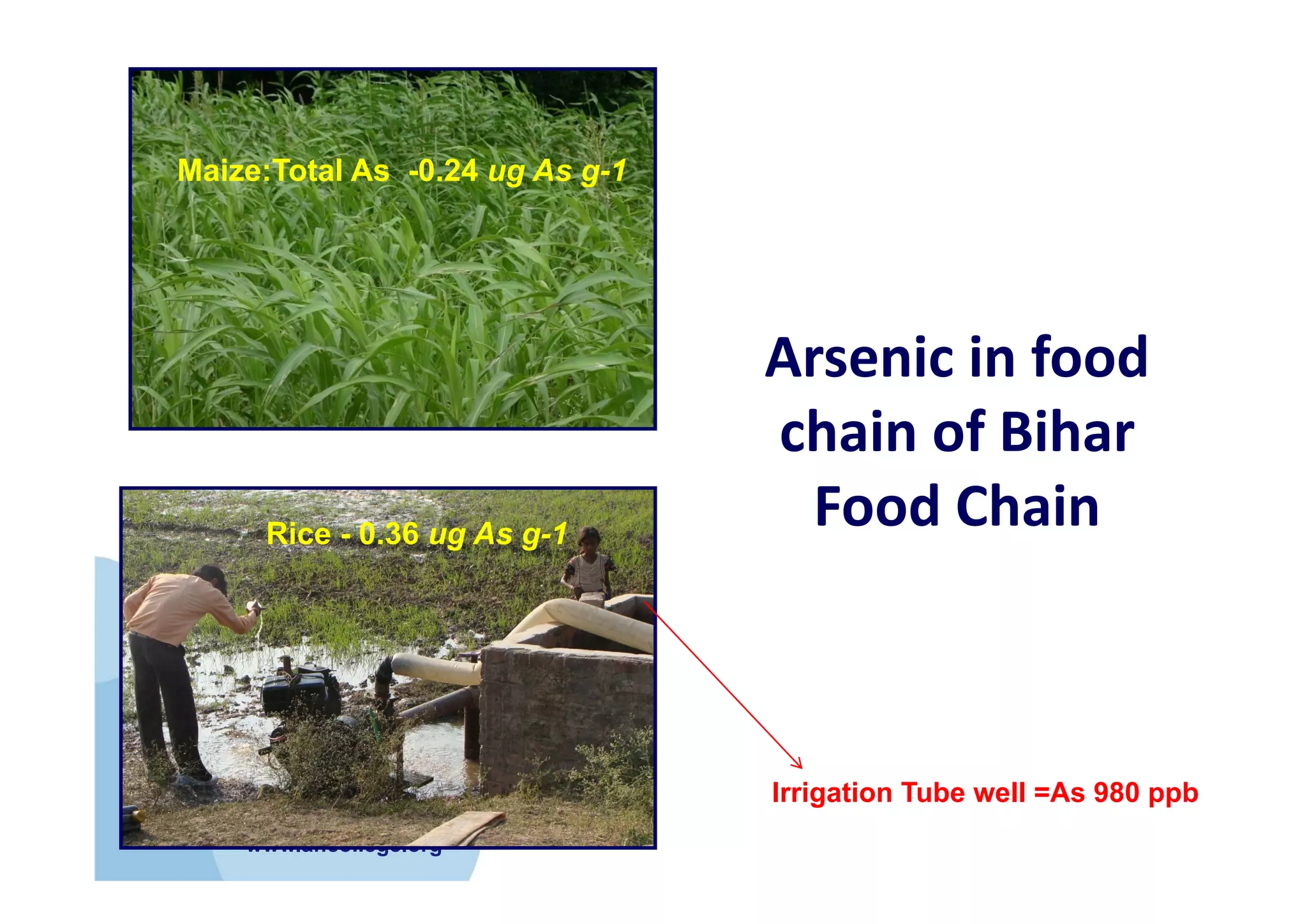 Arsenic In Ground Water Of Bihar | PDF