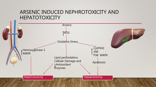 Arsenic toxicity | PPTX