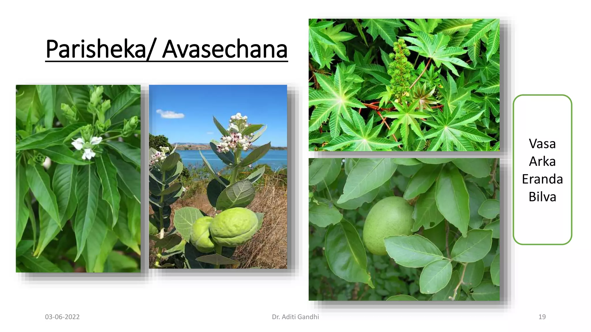 ARSHA - Dravya Prayoga.pptx