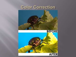 Arshad Ansari | PPTX