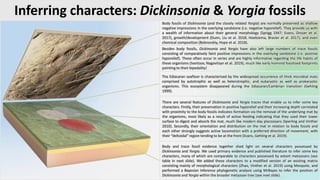The Ediacaran Dickinsonia is a stem-eumetazoan | PPT