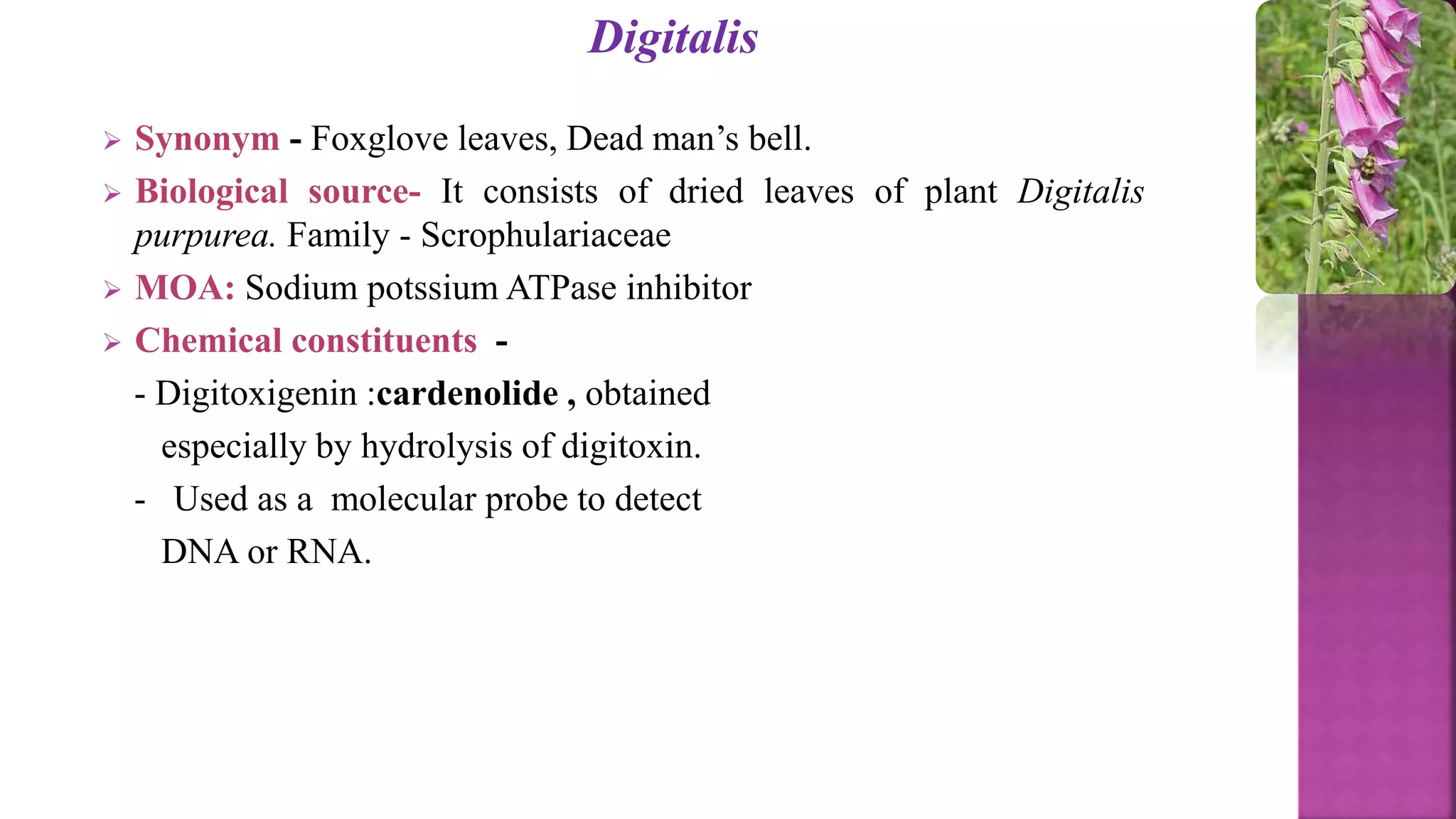 Herbal drug interactions | PPT