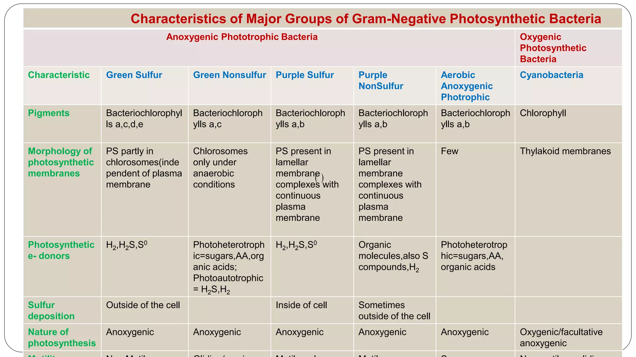 CLASSIFICATION OF BACTERIA | PPTX