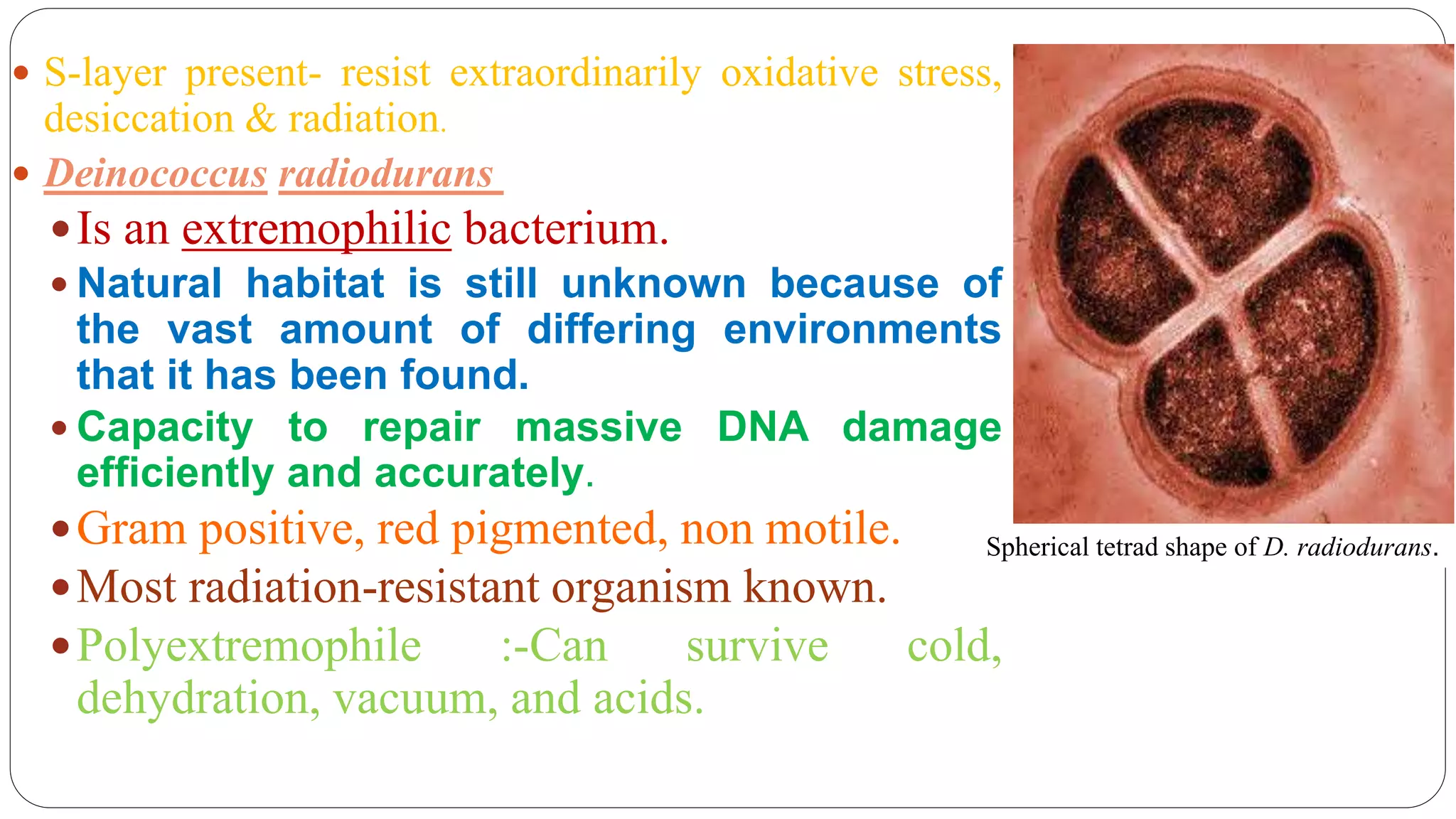 CLASSIFICATION OF BACTERIA | PPTX