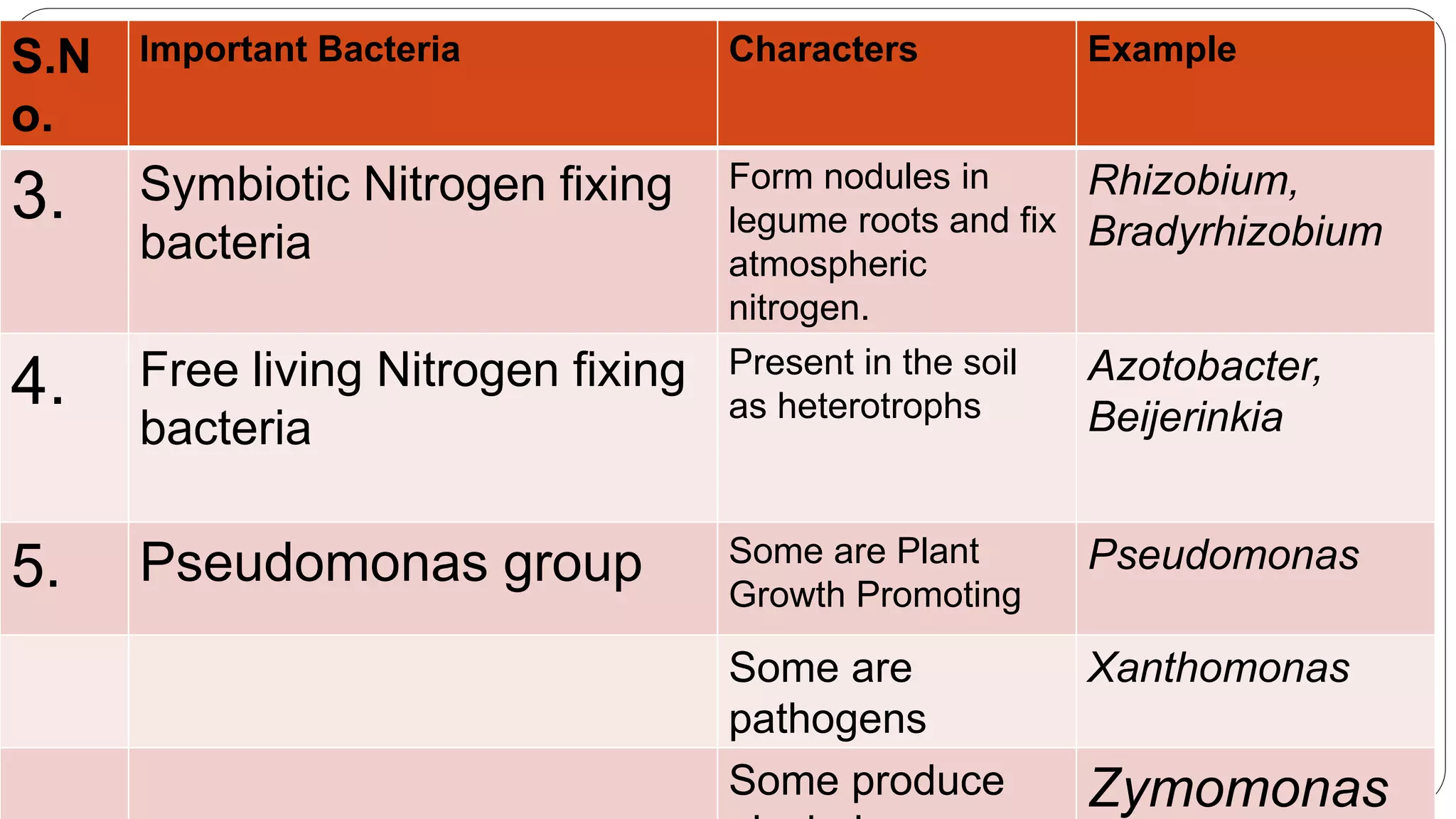 CLASSIFICATION OF BACTERIA | PPTX