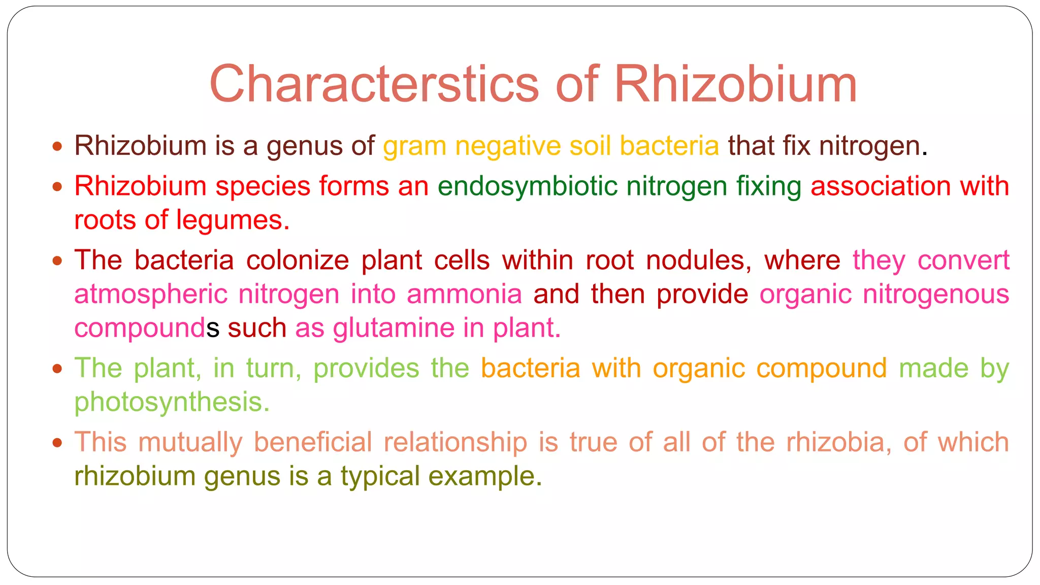 CLASSIFICATION OF BACTERIA | PPTX
