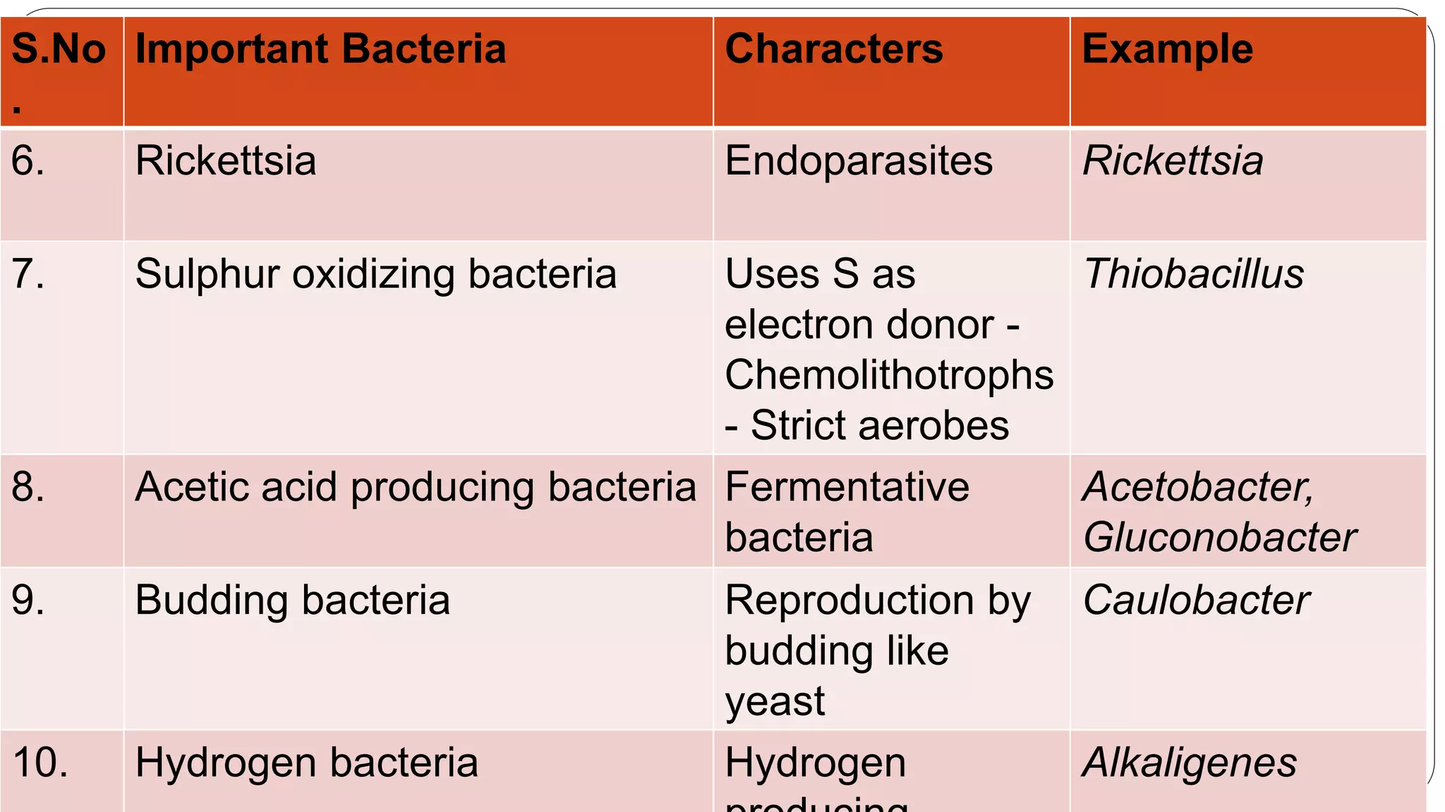 CLASSIFICATION OF BACTERIA | PPTX
