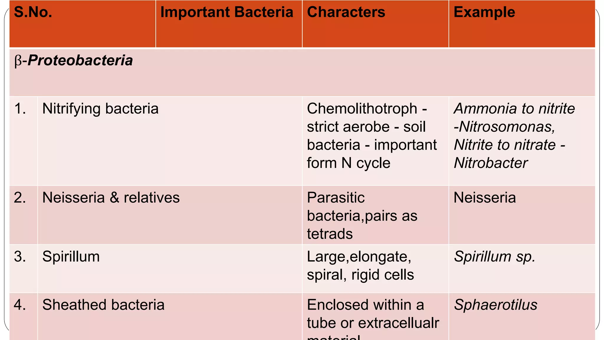 CLASSIFICATION OF BACTERIA | PPTX