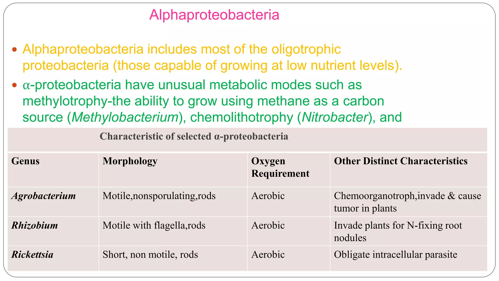 CLASSIFICATION OF BACTERIA | PPTX