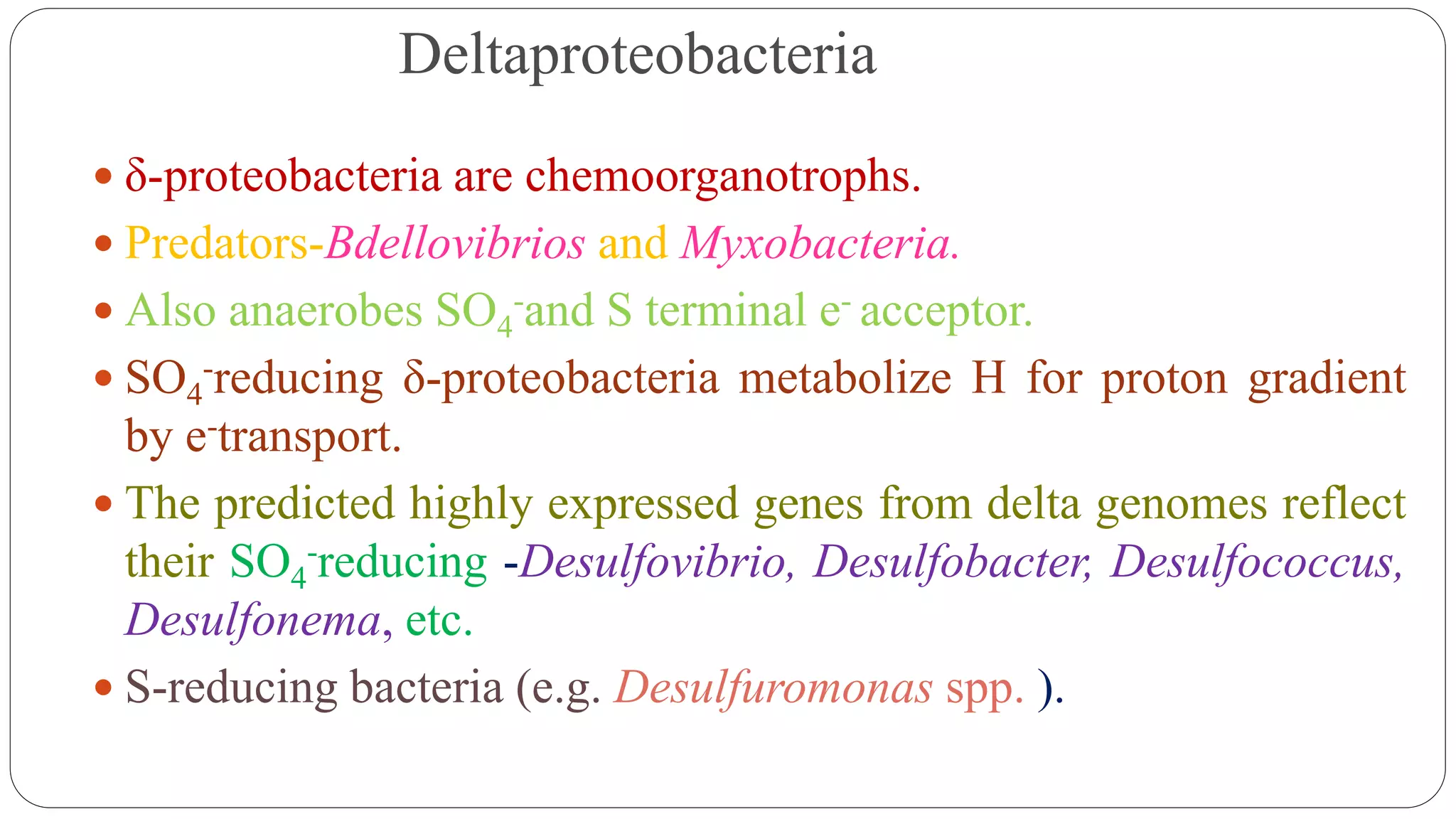 CLASSIFICATION OF BACTERIA | PPTX