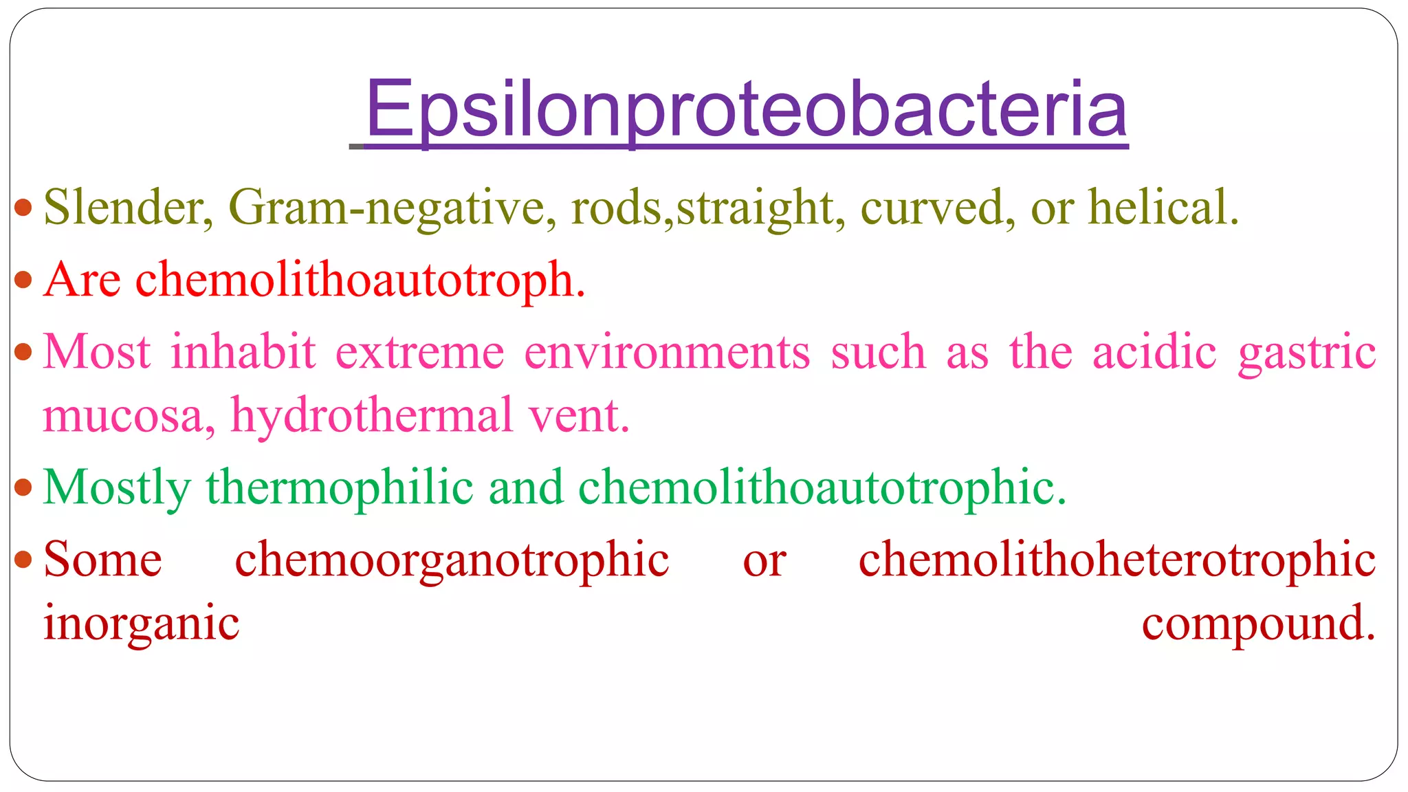 CLASSIFICATION OF BACTERIA | PPTX